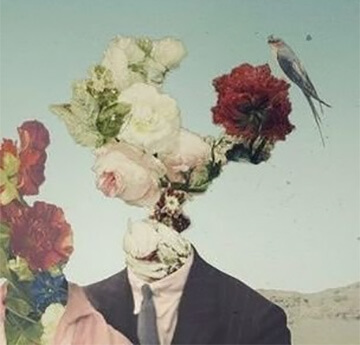 Ducales - Las galletas del toque secreto